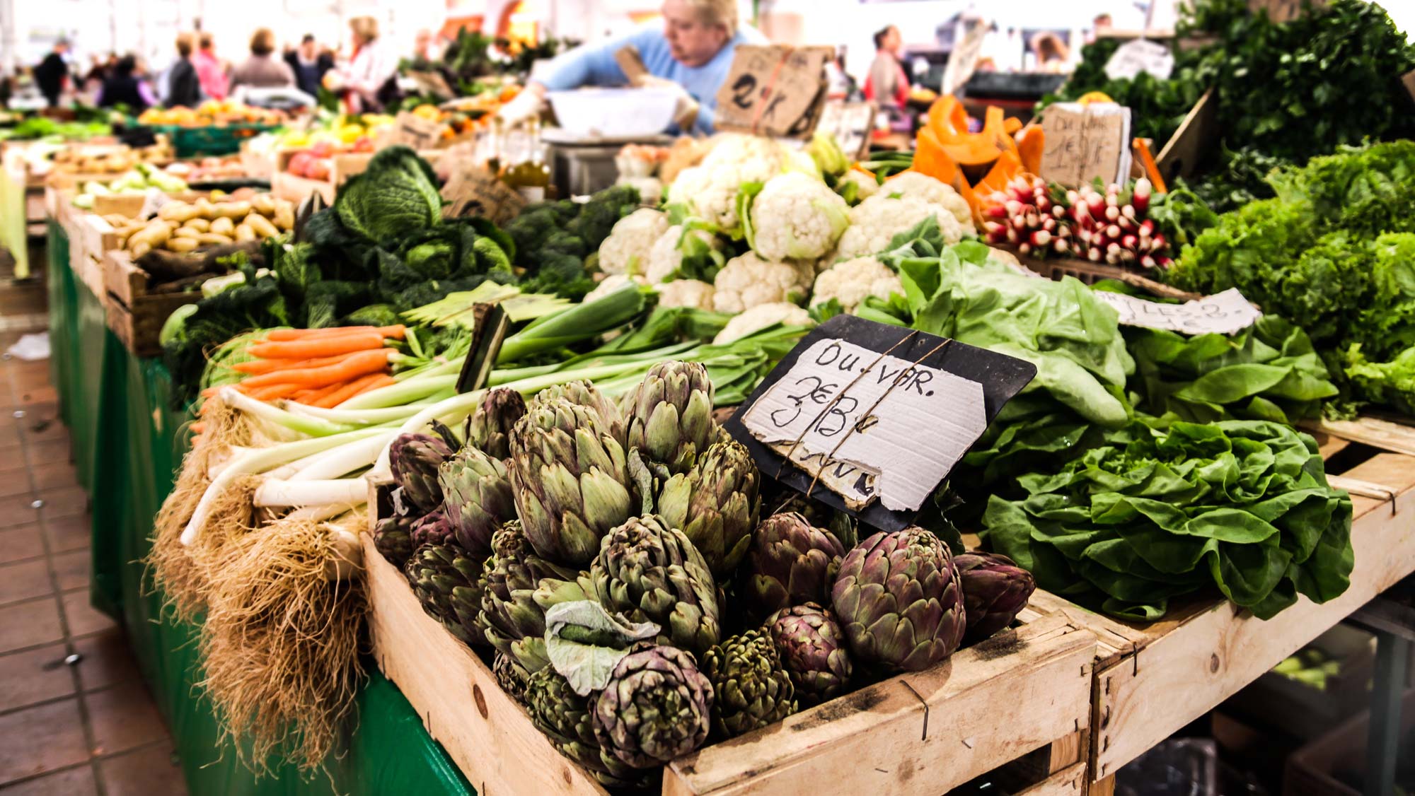 Introduction to holistic nutrition—awareness of food quality & energetics